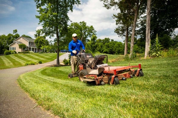 Lawn Care & Landscaping Jobs Perfect for Your Start in the Industry